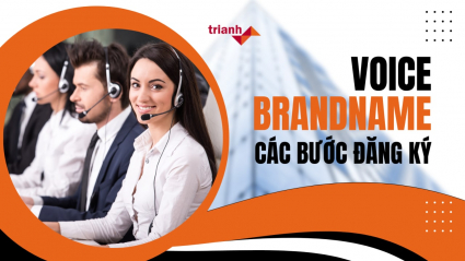 Các bước đăng ký & triển khai Voice Brandname của Trí Anh Solutions